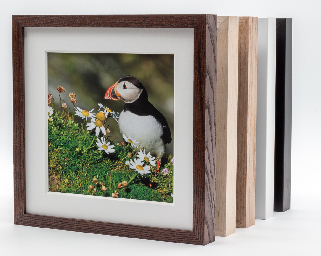 The Meticulous Puffin - Homepage